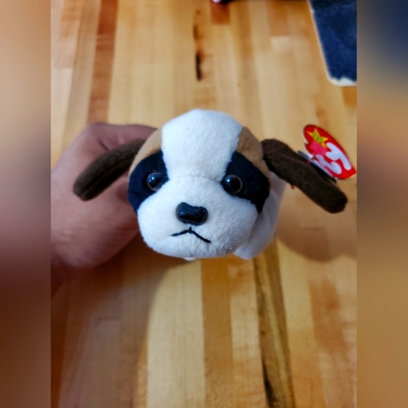 Ty | Toys | Ty Beanie Baby Bernie Dog W Tag Errors Plush Toy Rare Pvc ...